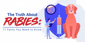 11 Things You Need to Know About Rabies