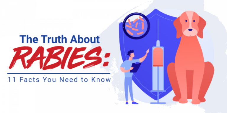 11 Things You Need to Know About Rabies