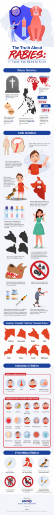 11 Things You Need to Know About Rabies